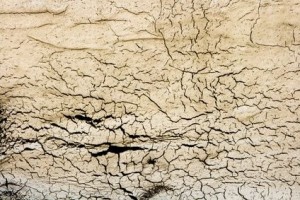 How to Make a Painting Look Old - Web Art Academy | Web Art Academy